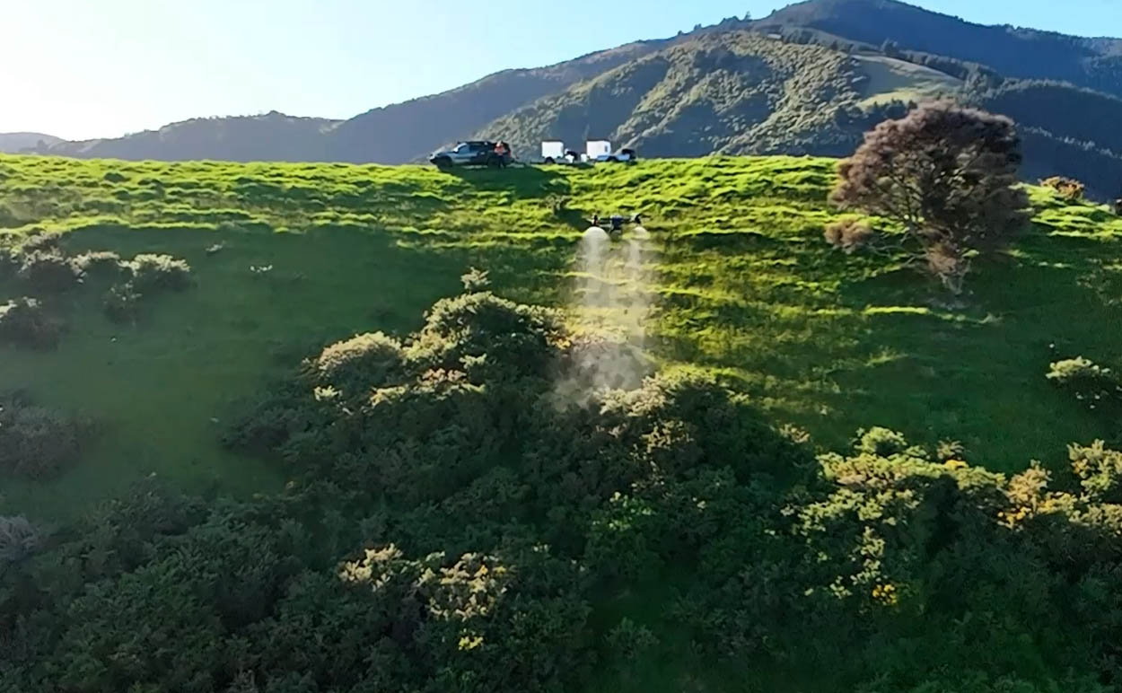 Gorse Control on Steep Terrain- Case Study | Agri Drone