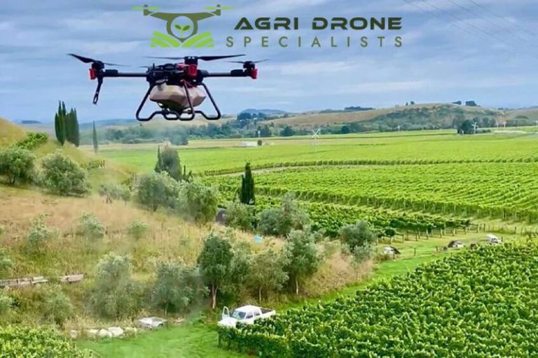 Aerial vs Manual Spraying Compared